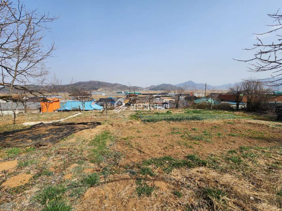 중덕동 마을 위 계획관리 개발지(전466평) 중덕동 매매 중덕동 대지·개발지