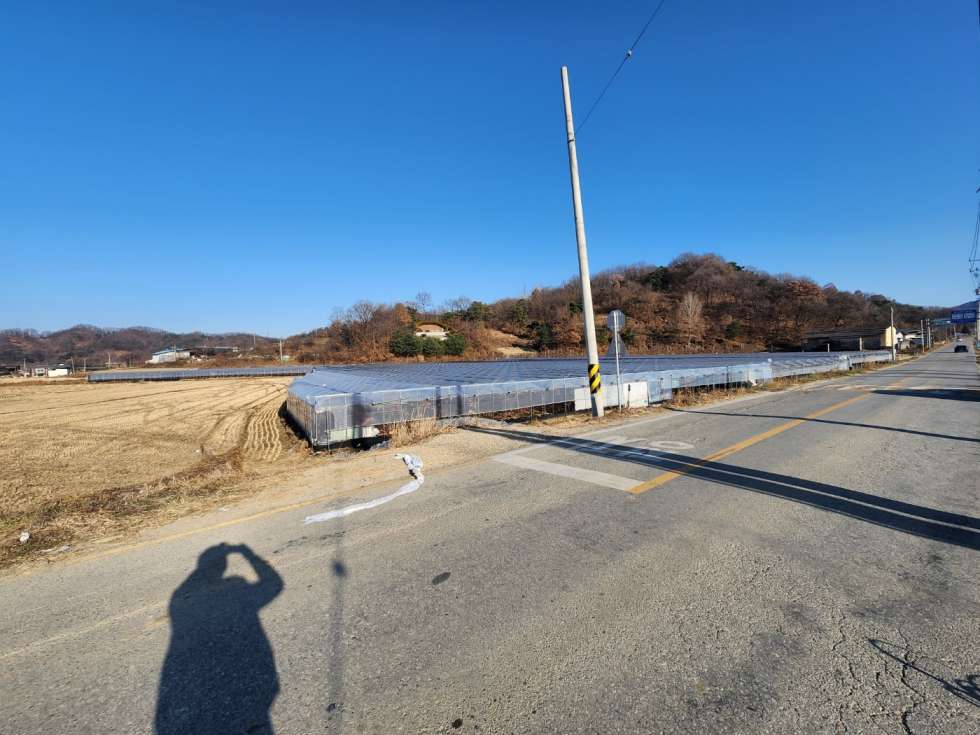 공성면 평천리 대형 포도밭(답2,845평) 평천리 매매 평천리 농지